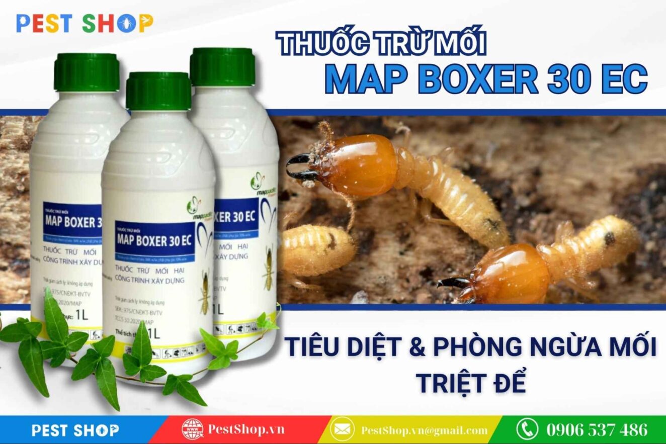 Thuốc diệt mối Map Boxer 30EC hiệu quả, giá thành hợp lý