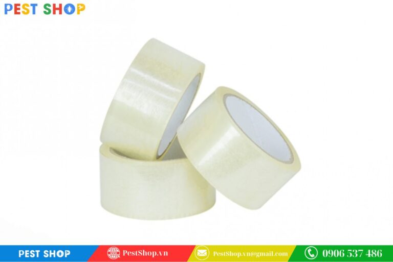 Top 10 cách diệt kiến lửa hiệu quả, tận gốc tại nhà