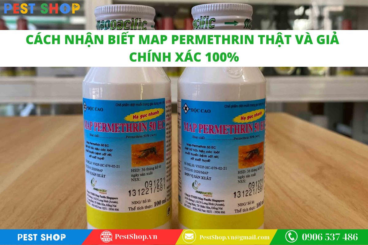 Cách nhận biết Map Permethrin thật và giả chính xác 100%